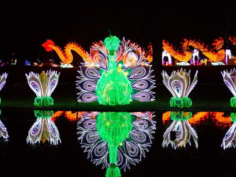 Lightopia London! Ultimate festive location/ venue