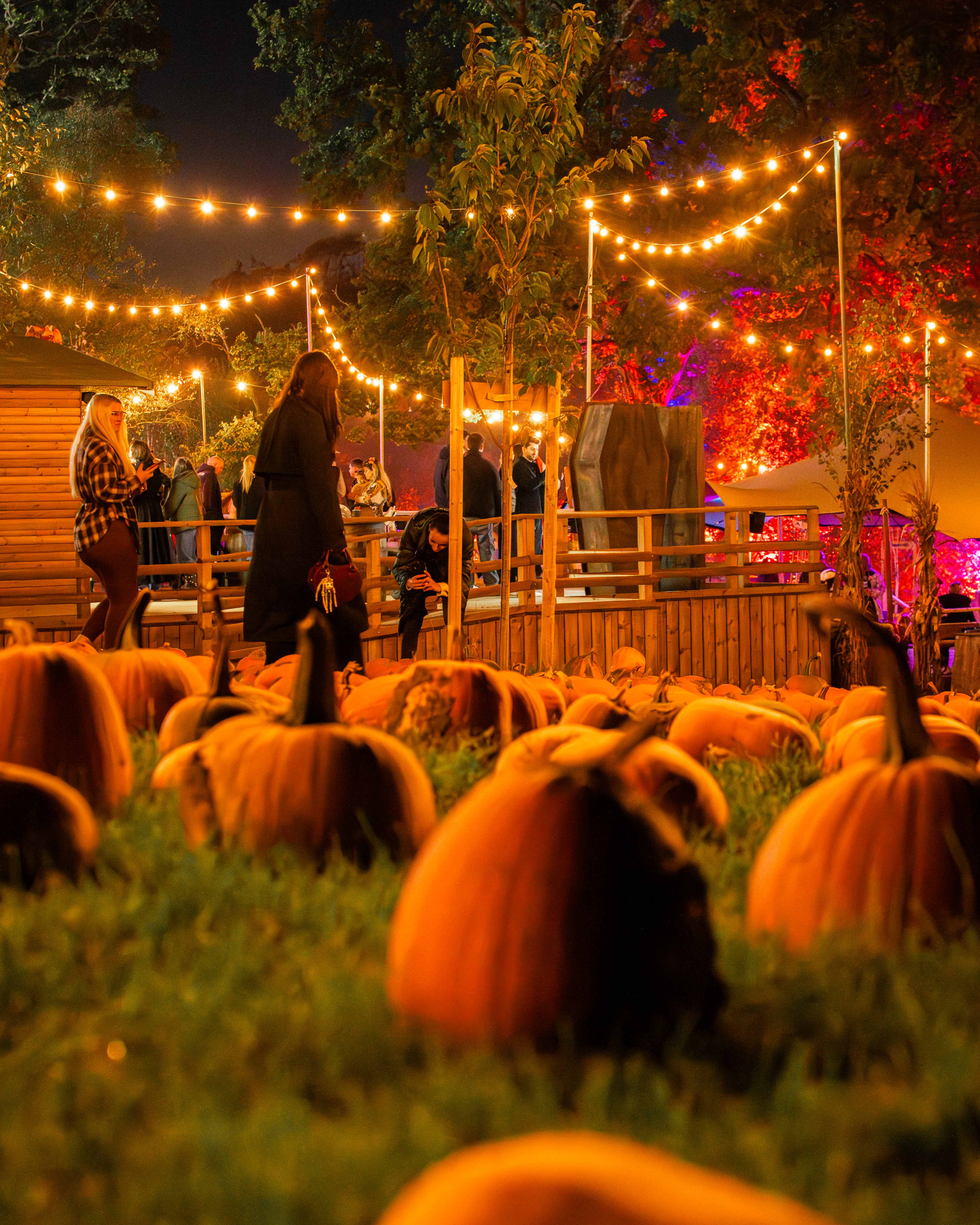 Europe’s Most Viral Pumpkin Event Returns: Tulleys Pumpkin Nights 2025