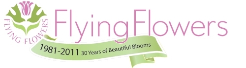 Flying Brands Newsroom Flying Brands Newsroom